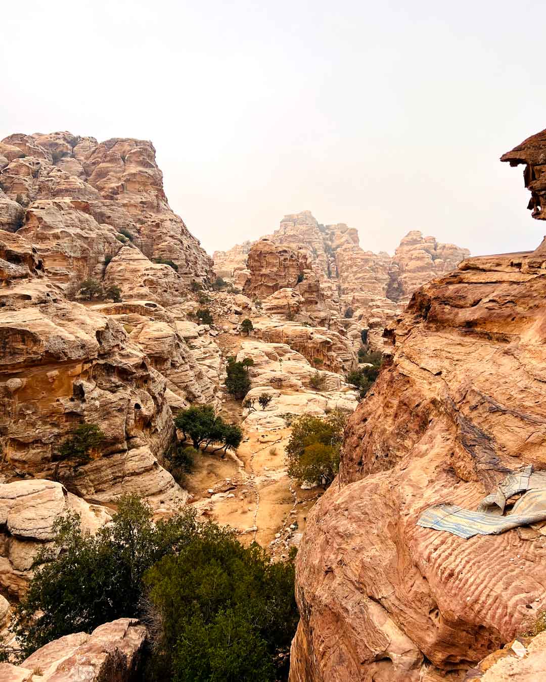 Ultimate 2-day Petra Itinerary: Best Trails & Instagram Photo Spots